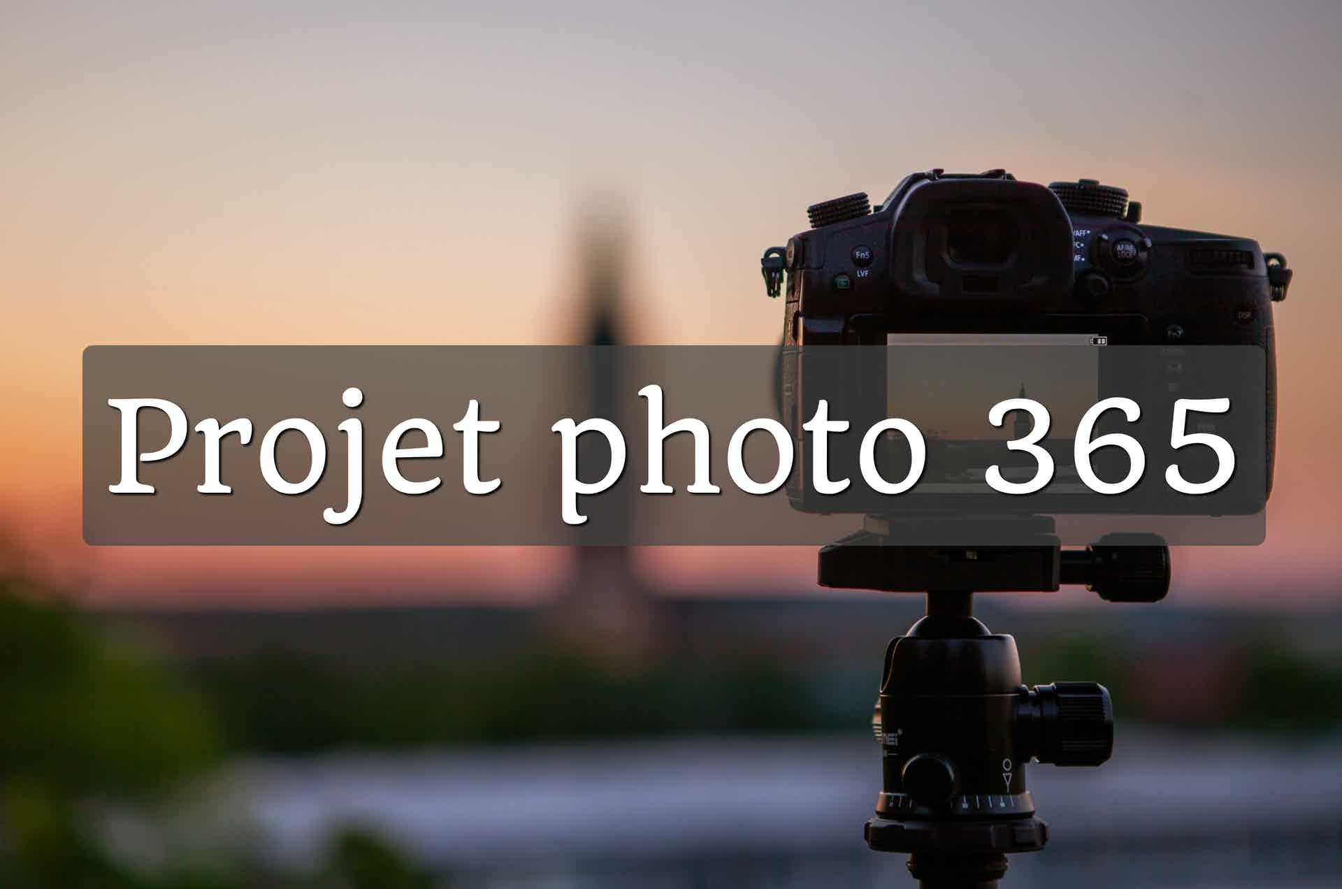 Projet photo 365: Mon défi pour devenir un meilleur photographe